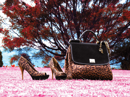 The Success Story of Summit Shoes – Vouch Alliance